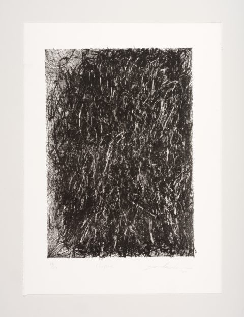 Sam Reveles | Talley Dunn Gallery