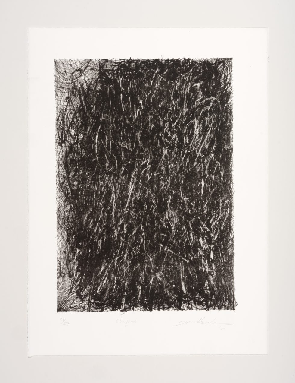 Sam Reveles | Talley Dunn Gallery