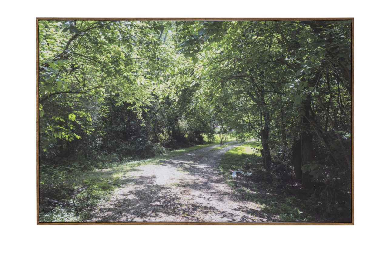 Letitia Huckaby: Bitter Waters Sweet Series | Talley Dunn Gallery