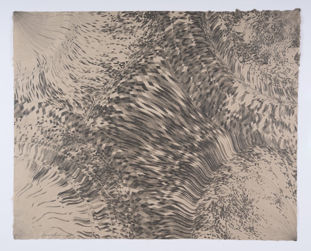 Sam Reveles | Talley Dunn Gallery