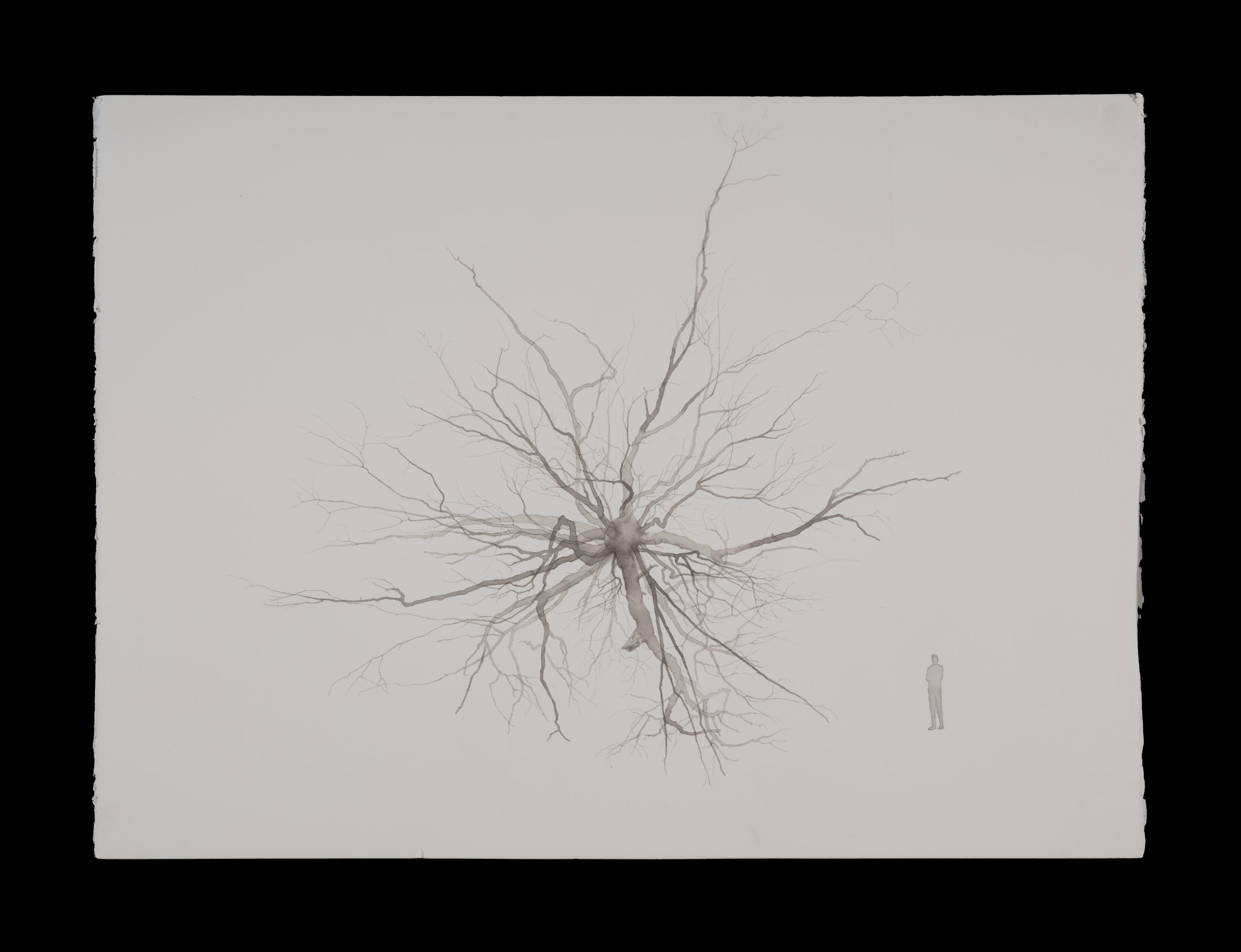 Roxy Paine: Drawings and Model | Talley Dunn Gallery